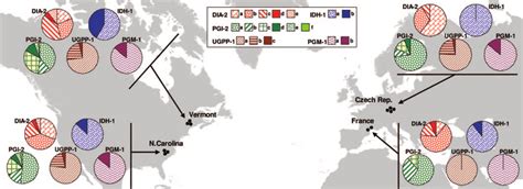 Geographic Distribution Of Neutral Genetic Diversity Of Reed