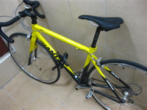 ＞輝＞行部落 生活 捷安特 Tcr2～～再見小黃蜂