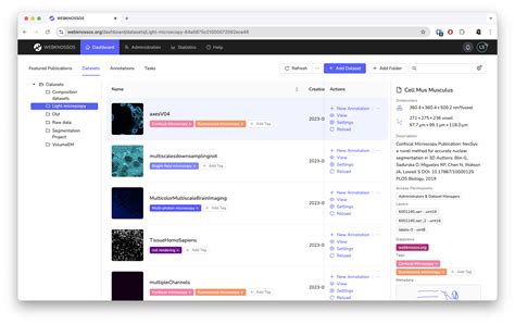 Datasets Webknossos Documentation