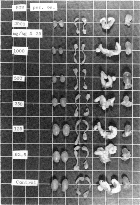 2 Methoxyethanol Acetate Semantic Scholar