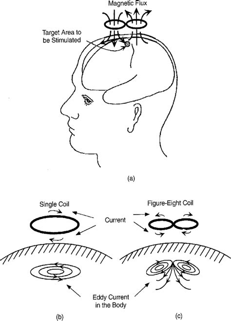 Principle Of Transcranial Magnetic Stimulation Download Scientific Diagram
