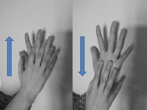 Rubbing Hands Together In Body Language
