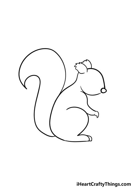 How To Draw A Realistic Squirrel