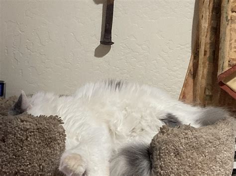 Being Lazy And Watching Tv Scrolller