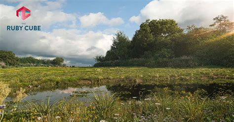 The Ruby Cube Ltd On Linkedin Bng Biodiversity Net Gain Nature Visualisations