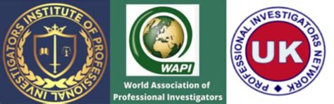 Professional Investigator Code Of Ethics And Professional Conduct The Institute Of