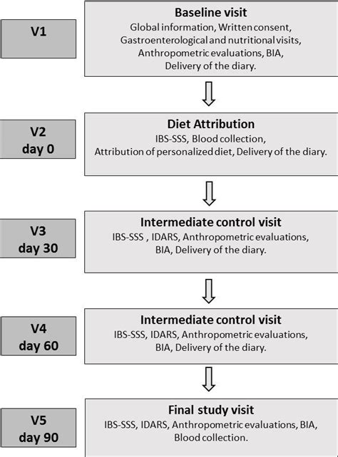 Schematic Study Drawing BIA Bioelectrical Impedance Analysis Download Scientific Diagram