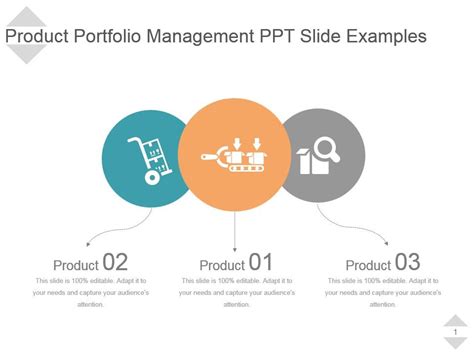 Product Portfolio Management Ppt Slide Examples PowerPoint Design Template Sample