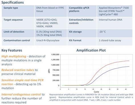 Braf Mutation Test Kit Angenovo As