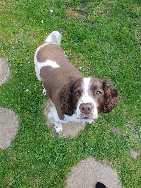 Random Hugo Post Rforsen