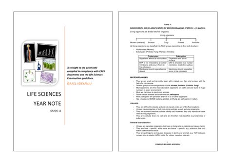 GRADE 11 NOTES KGADI