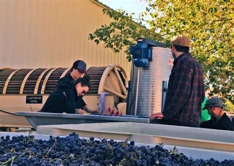 High Tech Wine Cmu Now Marshalls Wine Encore High Tech Wine Cmu Now Marshalls Wine Encore