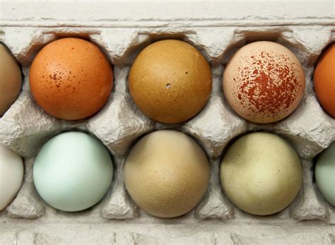 Eggs 26 Things You Need To Know Eat This Not That