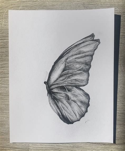How To Draw A Realistic Butterfly With Pencil