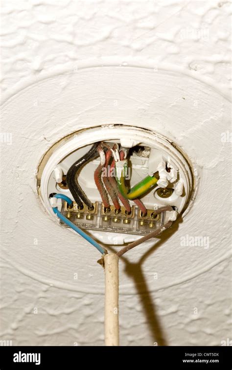 Electrical Light Fitting Showing Electrical Connections Stock Photo Alamy