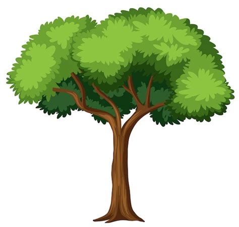 Free Easy Tree Clipart Download Free Easy Tree Clipart Png Images