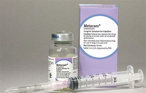 Metacam Injection Receives Fda Approval For Feline Use