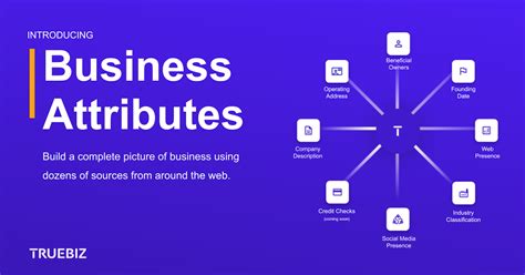 Introducing Truebiz Business Attributes