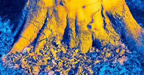 Can Lidar See Through Ground Or Walls Capabilities Explained