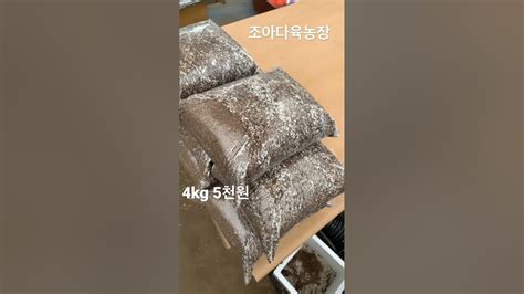 💥다육식물 건강을 위한 준비된 추천 배합토 4kg🔺조아다육농장 010 6252 5061 인천 남동구 도림동 557 5 남촌 농산물 도보 3분 Youtube
