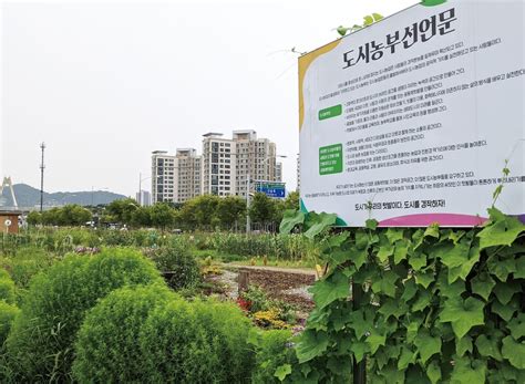 인천시 도시농업팀 이름은 지켰지만 인천시 도시농업팀 이름은 지켰지만