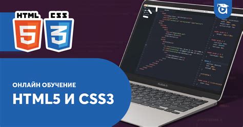 Курс по html и css Аула