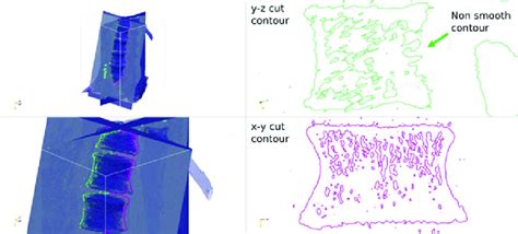 14 Y Z Cut Contour Line And X Y Cut Contour Line X Y Reconstructed Dataset Download
