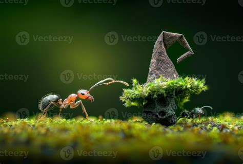 Ai Generated Red Leaf Cutter Ant Is Carrying Piece Of Moss To Small
