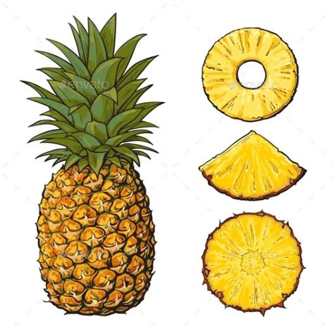 Whole Pineapple And Slices Pineapple Art Pineapple Painting