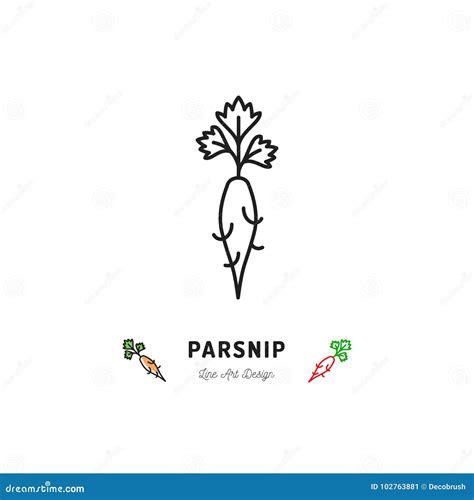 Parsnip Icon Vegetables Logo Thin Line Art Design Outline