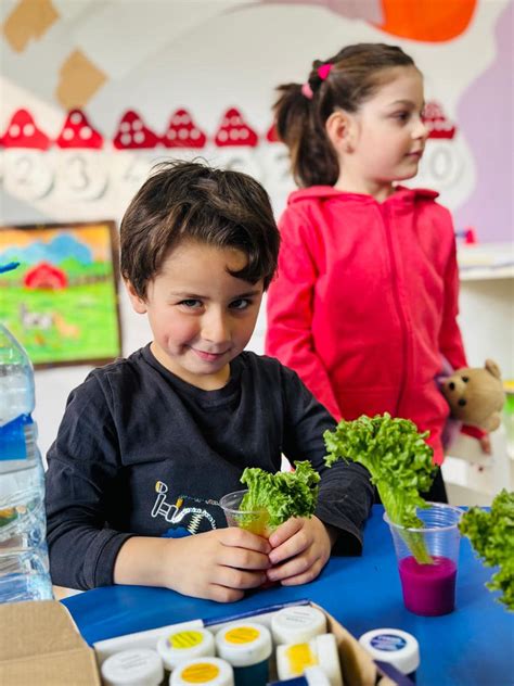 მწვანე ბაღი მწვანე ბაღი Added A New Photo