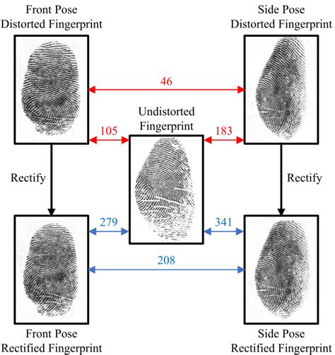 [논문 리뷰] Regression Of Dense Distortion Field From A Single Fingerprint Image