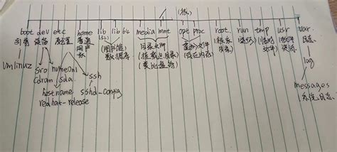 Linux文件类型和根目录结构查询根目录后怎么知道是什么文件类型 Csdn博客