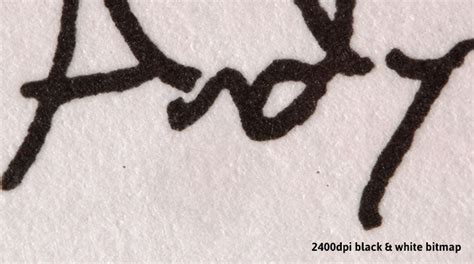 Bitmap Vs Vector Fight