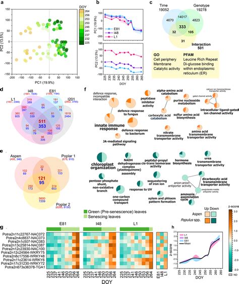 Global Transcriptome Patterns In Three Swasp Genotypes In Autumn 2018