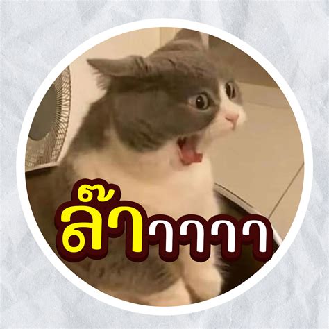 ภาพโปรไฟล์ ลางาน คลังสื่อการเรียนรู้ พีซีเอช ดีไซน์