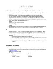MODULE 4 CHALLENGE Docx MODULE 4 CHALLENGES A Answer The Following Based On Your
