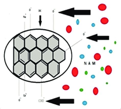 A Schematic Representation Of Electrostatic Interaction Between