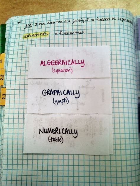 What Are Exponential Functions