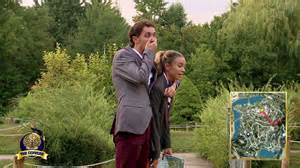 The Cerveau Nicolas Et Colette évincés De La Course Au Cerveau D