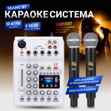 Караоке-система SEANG BT с беспроводными микрофонами, микшером купить ...