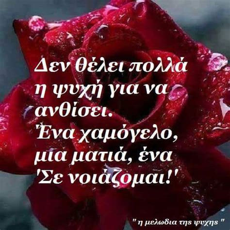 ΣΕΥΧΑΡΙΣΤΩ ΠΟΥ ΗΡΘΕΣ ΣΕΥΧΑΡΙΣΤΩ ΠΟΥ ΗΡΘΕΣ ΣΤΗΝ ΖΩΗ ΜΟΥ