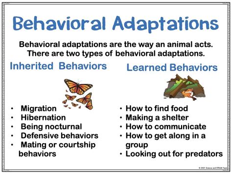 Animal Adaptation