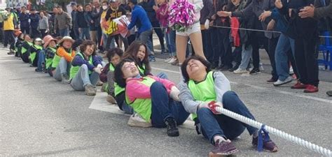 민·관·군 화합 한마당 줄다리기 행사 홍천뉴스투데이