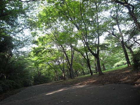 Kobakou Flickr