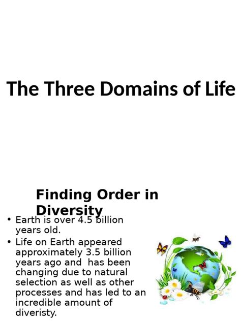 Classification System Pdf Phylogenetic Tree Organisms