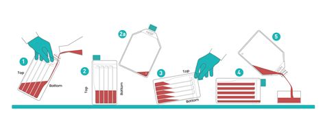 User Guide For Seeding Cells Into A 5 Layer Cell Culture Flask