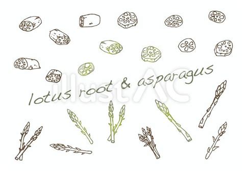 무료 벡터 제목