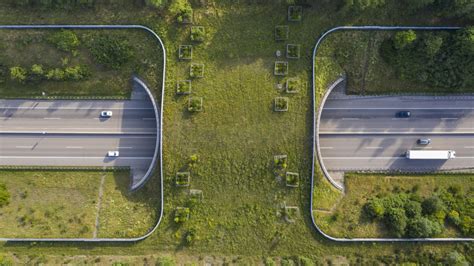 E Mobility For Commercial Vehicles Knorr Bremse Showcases Turnkey