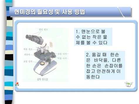 현미경으로 잎관찰하기